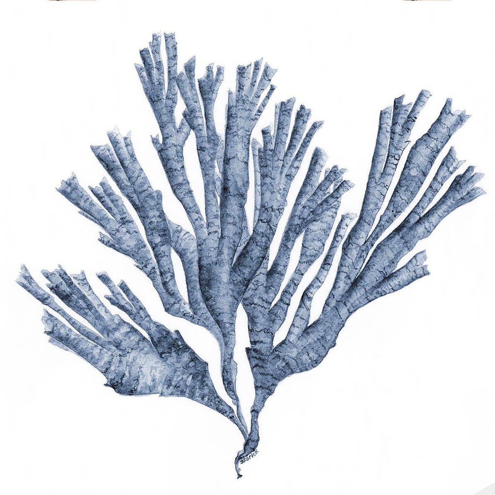 Printable Art of Coral Sea Fan Watercolour Painting Instant - Etsy