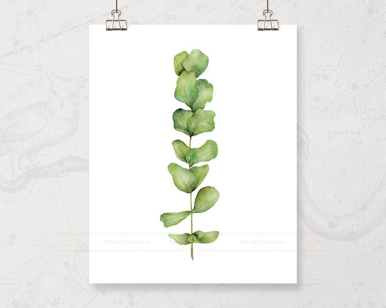 Printable Art Botanical Print Set of 4 Green Leaf Watercolor | Etsy