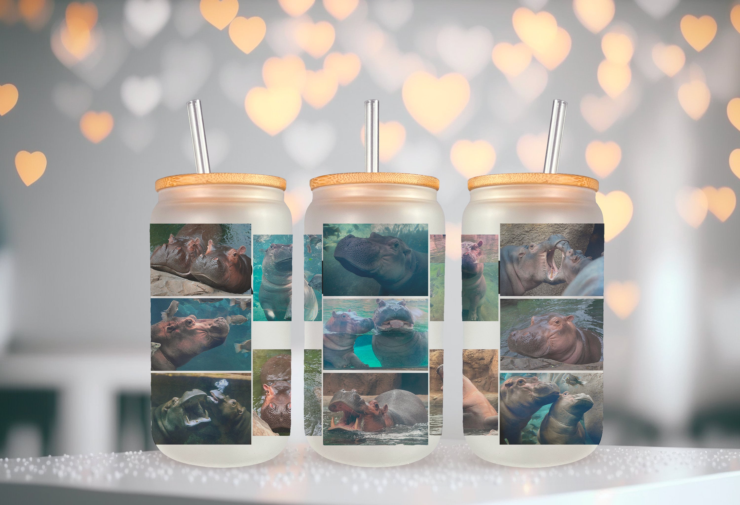 Cincinnati Zoo's Fiona the Hippo & Her Brother Fritz Frosted Glass Cup ...