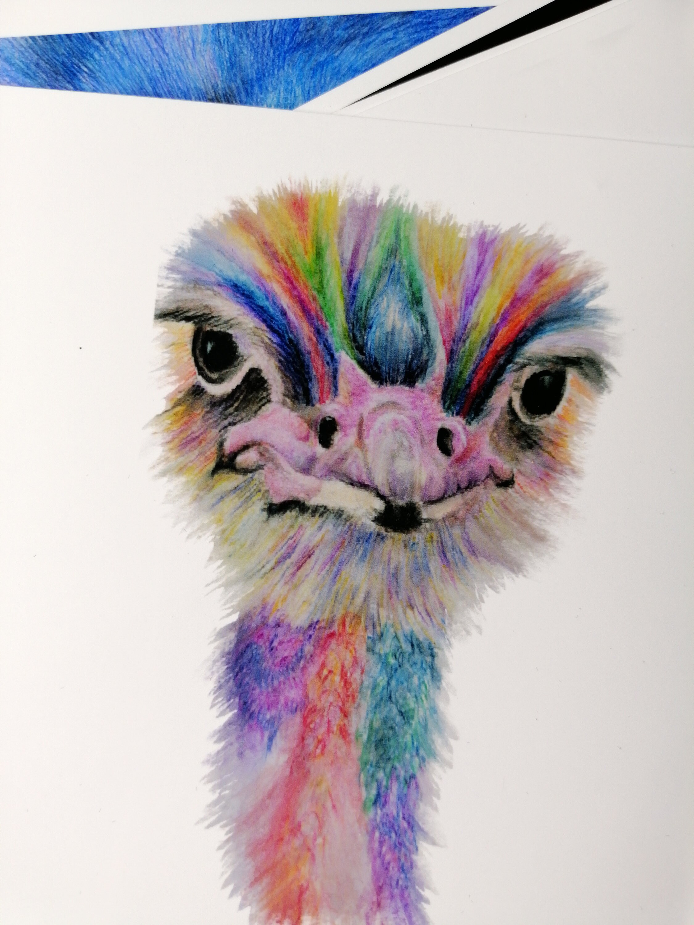 Small rainbow ostrich fine art print | Etsy