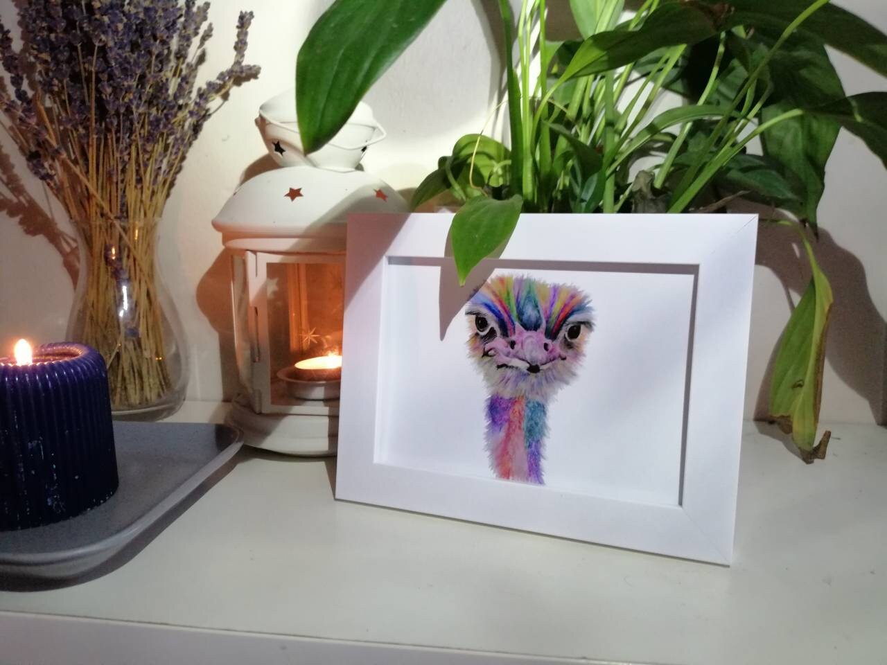Small rainbow ostrich fine art print | Etsy