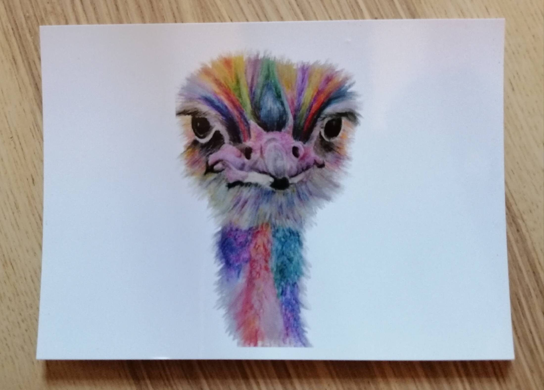 Small rainbow ostrich fine art print | Etsy