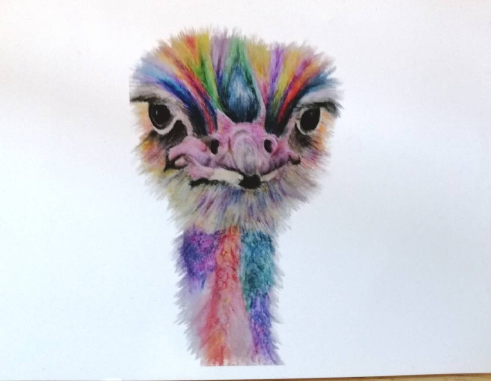 Small rainbow ostrich fine art print. Matte or gloss. - Etsy 日本