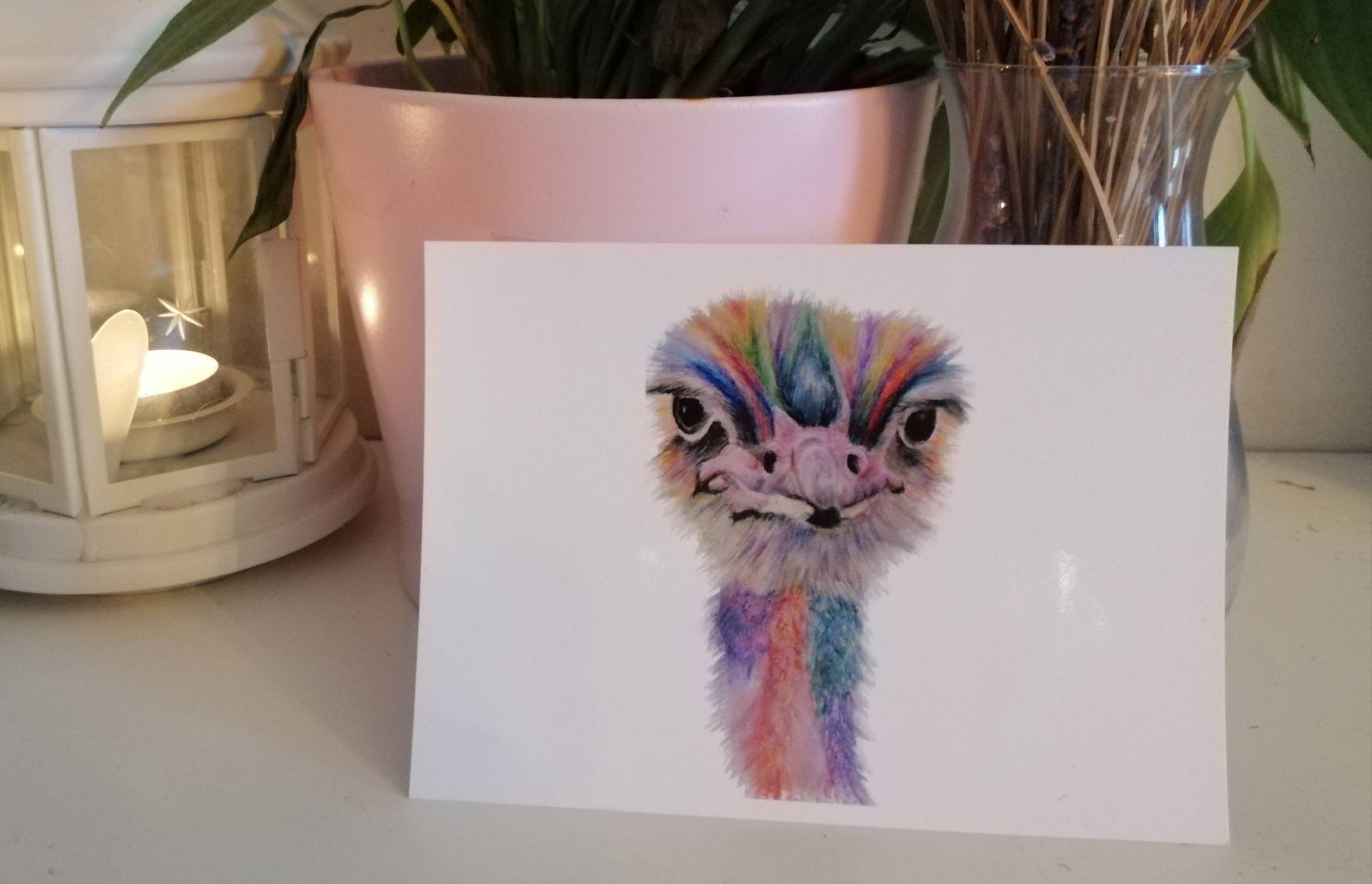 Small rainbow ostrich fine art print | Etsy