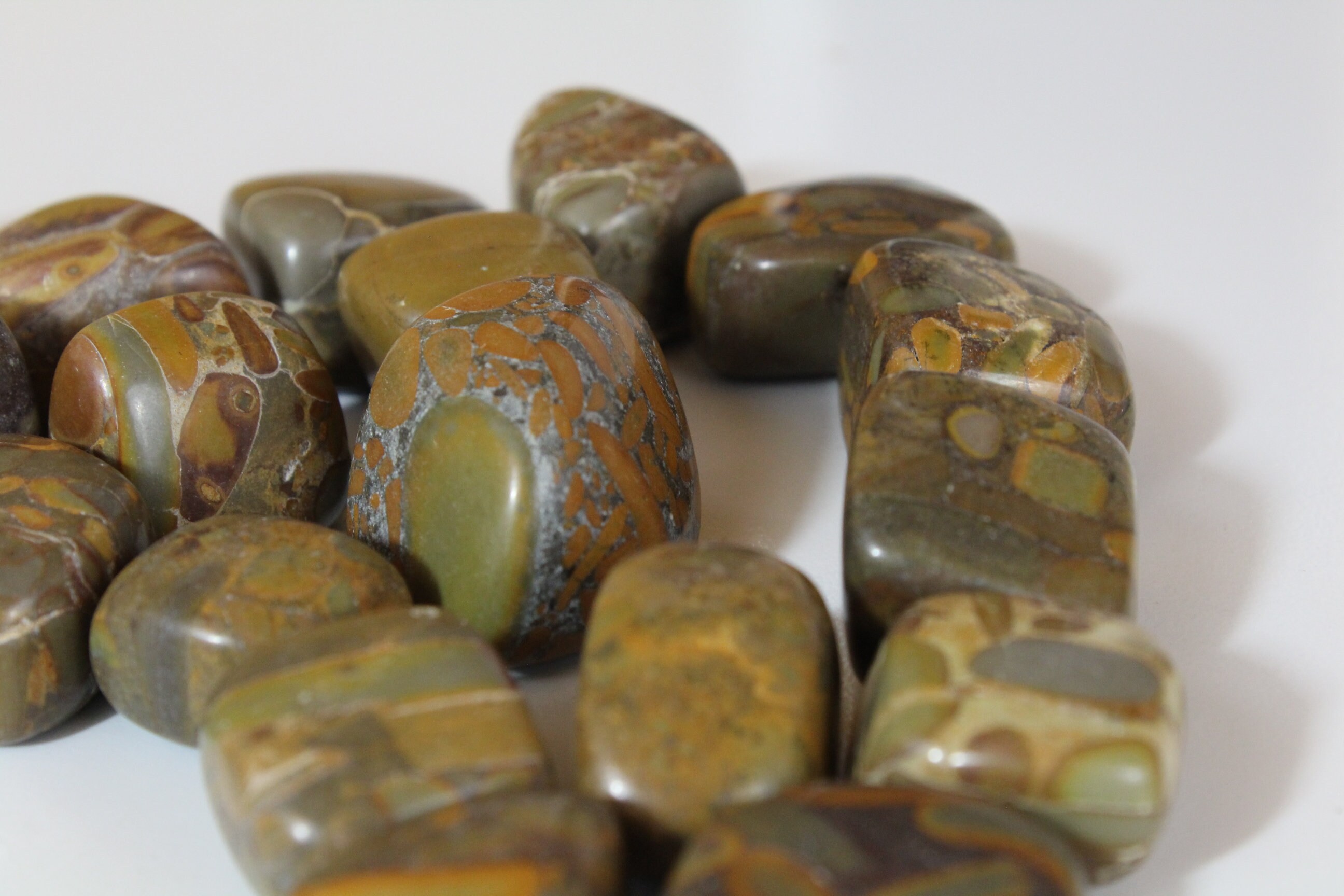 Bamboo Leaf Jasper Tumble Stones Bamboo Jasper Grounding - Etsy Australia