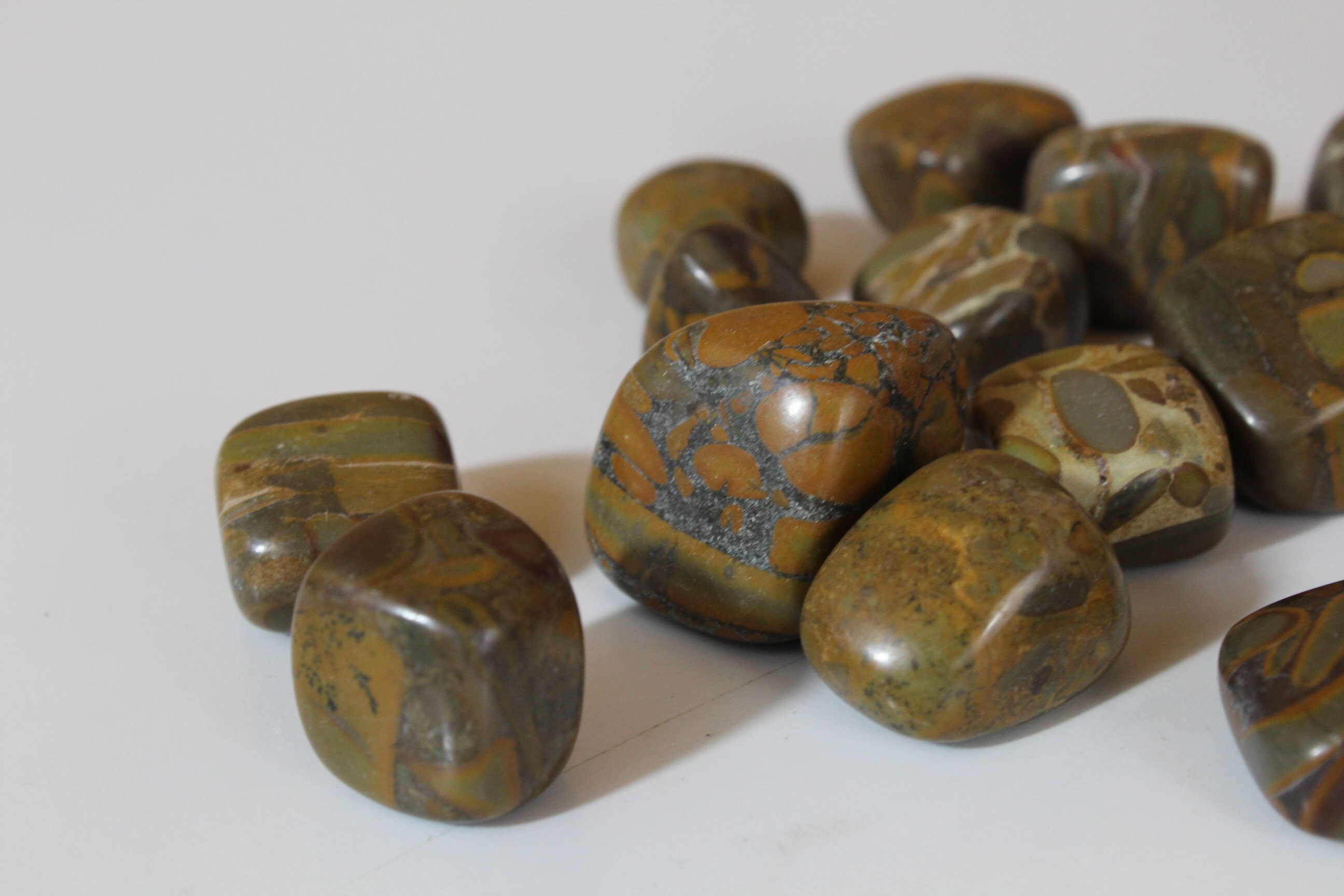 Bamboo Leaf Jasper Tumble Stones Bamboo Jasper Grounding - Etsy Australia