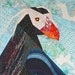Tufted Puffin Quilt Pattern - Etsy