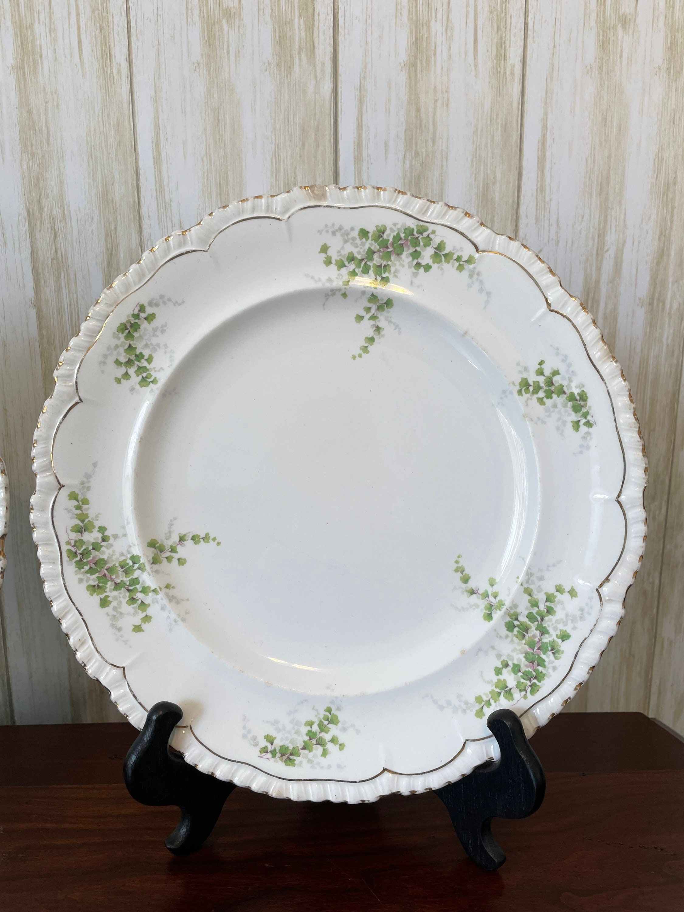 John Maddock and Sons Shamrock Royal Vitreous Two Dinner - Etsy