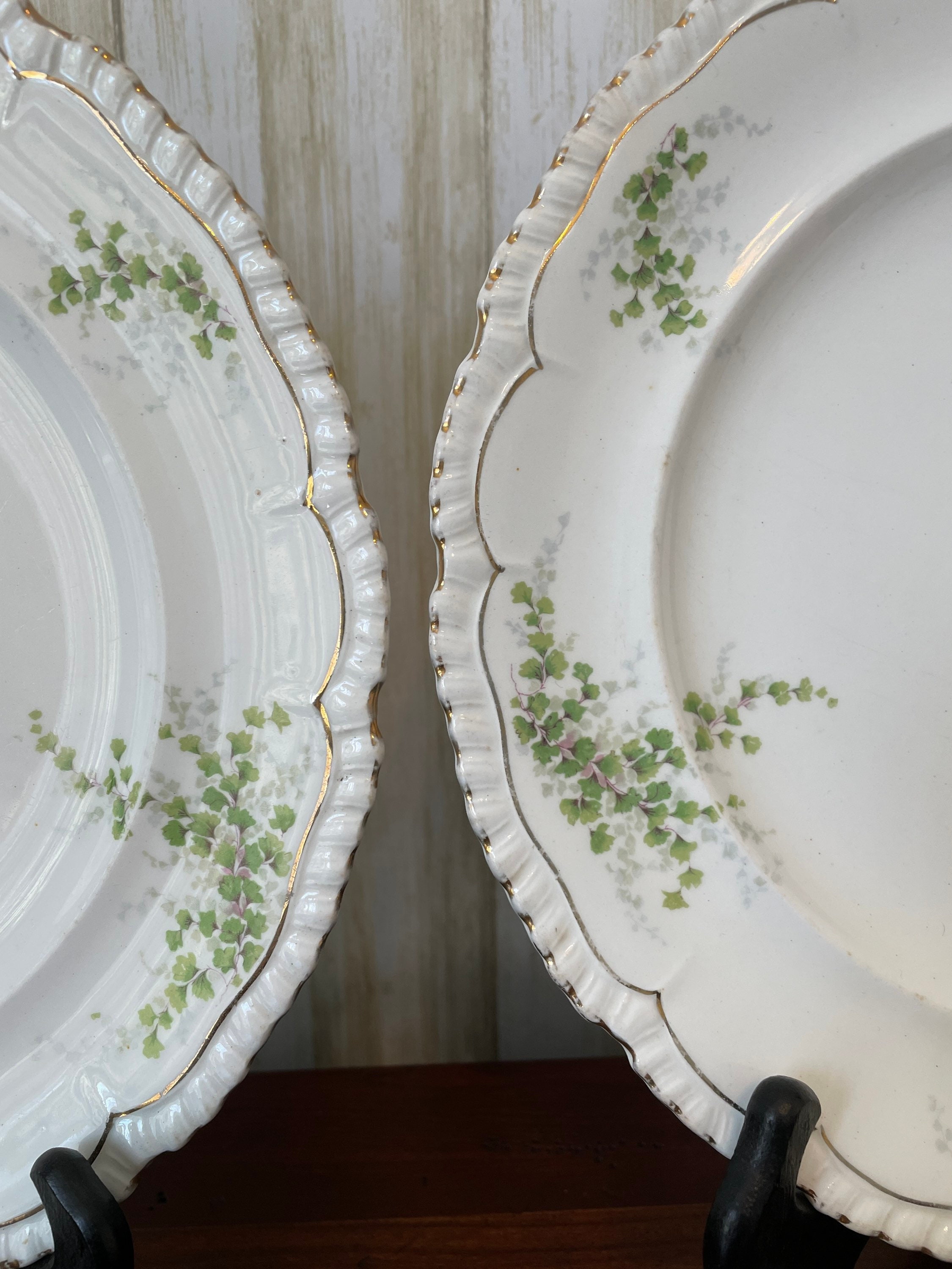 John Maddock and Sons Shamrock Royal Vitreous Two Dinner - Etsy