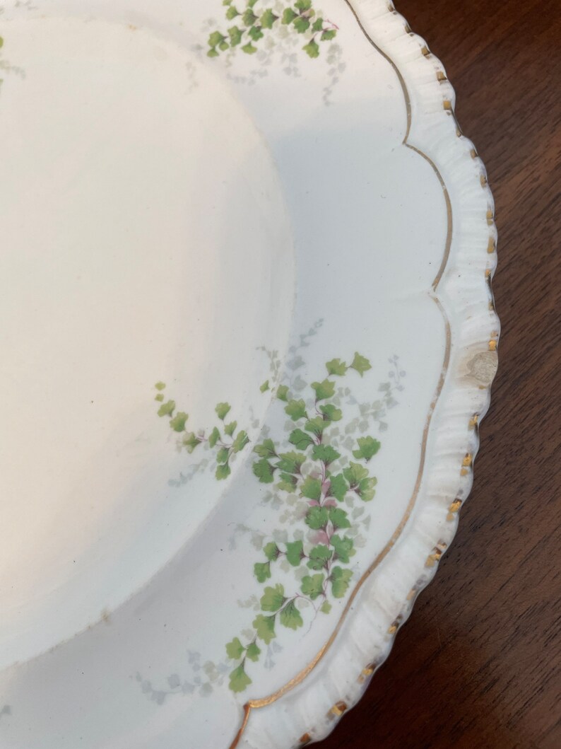 John Maddock and Sons Shamrock Royal Vitreous Two Dinner - Etsy