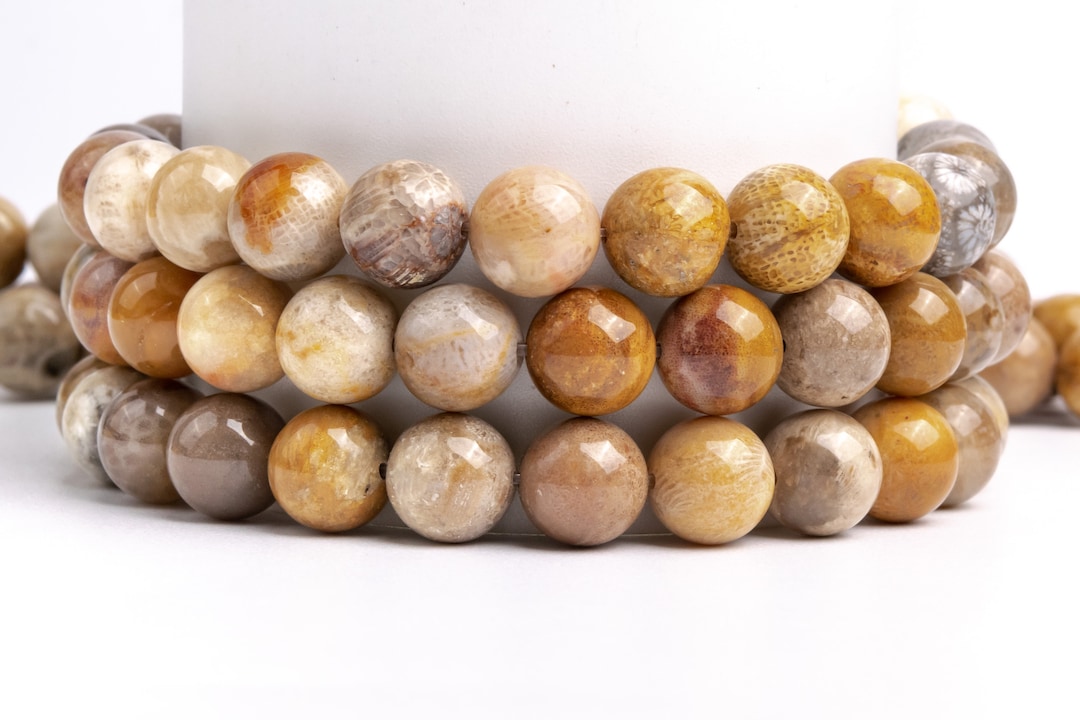 Natural Multicolor Coral Fossil Jasper Gemstone Grade A Round 4mm 6mm ...