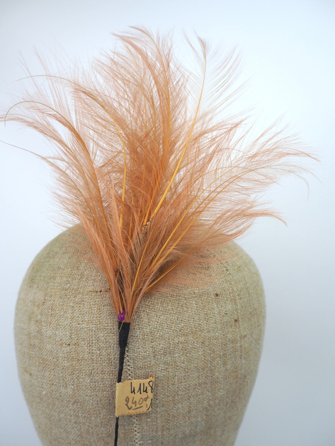 1900s French Millinery Feather Fine Tropical Nude Feathers Feathers ...