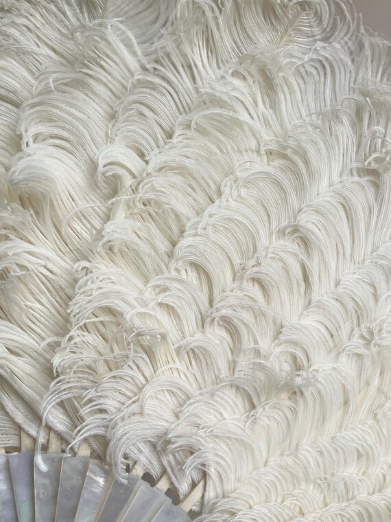 1900s Duvelleroy Box Ostrich Feather Hand Fan | Shimm… - Gem