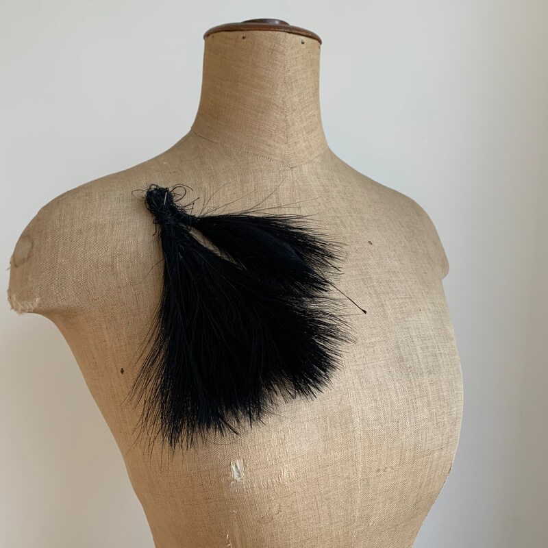 Feather Spray - Etsy