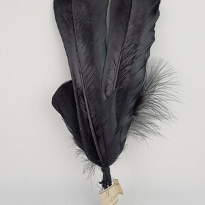 Original Jet Black French Antique 1900s Feather Millinery Piece Spray ...