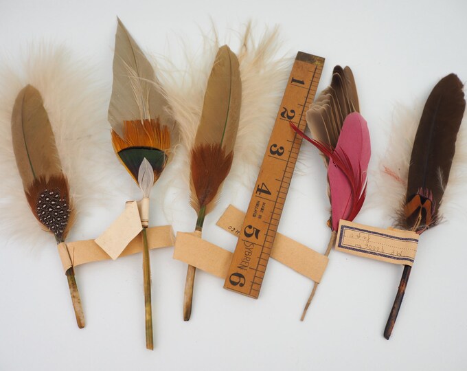 Five Antique Millinery Feathers Hat Feather Trim Trimming Brown Cream ...