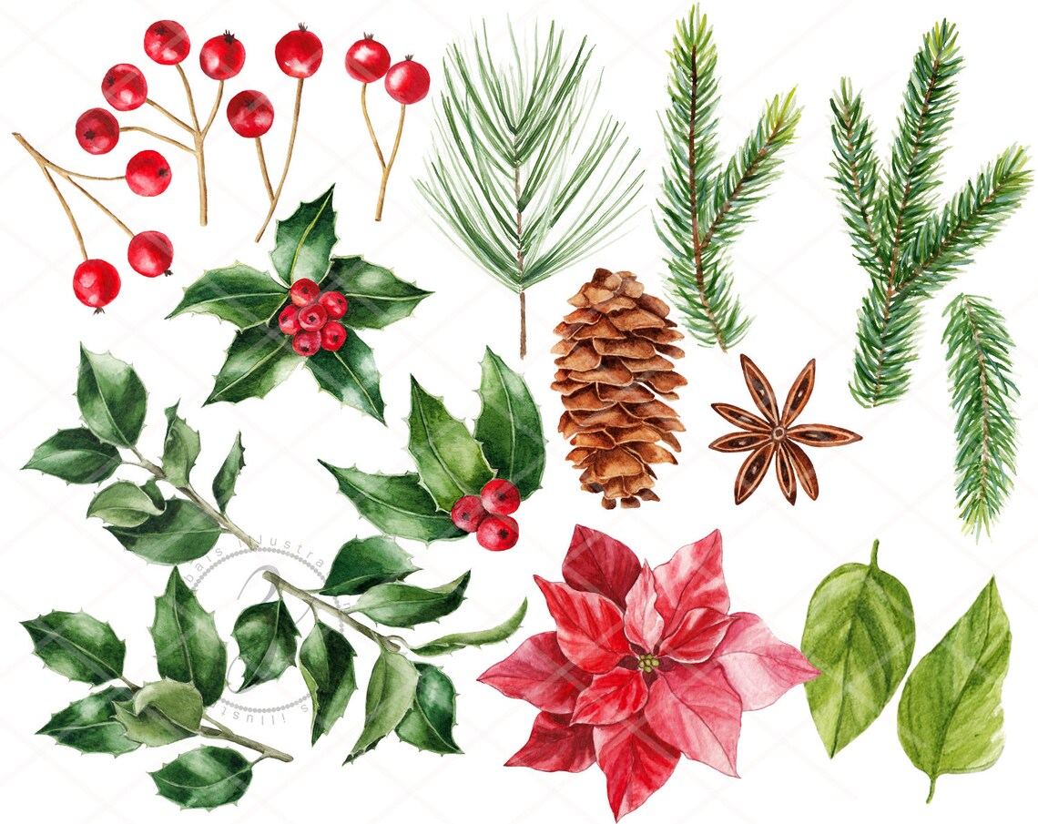 Watercolor Christmas Clipart - Etsy