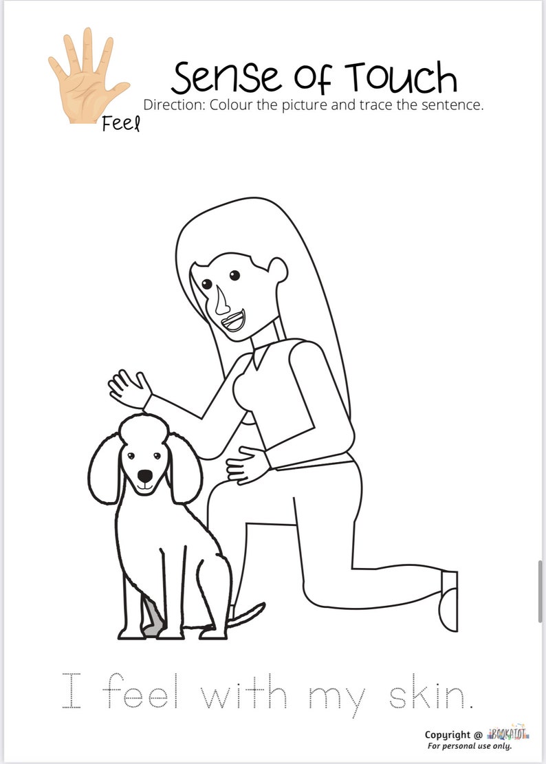 Preschool Kindergarten Printable Worksheet - Our Five Senses ...