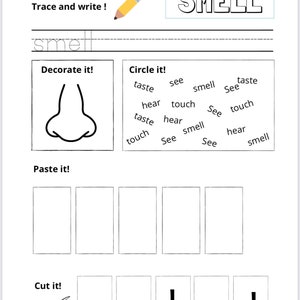 Preschool Kindergarten Printable Worksheet - Our Five Senses ...