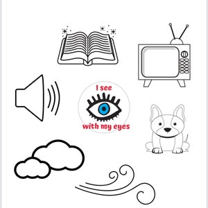 Preschool Kindergarten Printable Worksheet - Our Five Senses ...