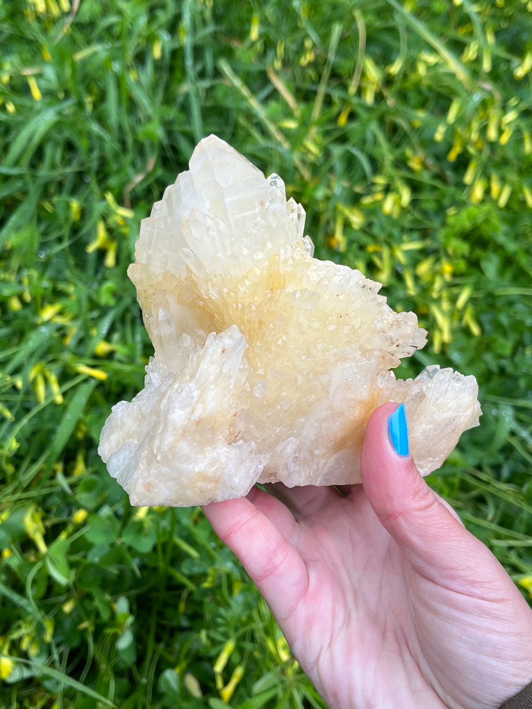 Large Himalayan Pineapple Quartz Cluster: Statement Healing Crystal - Etsy