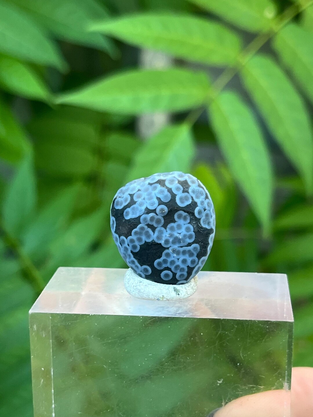 Gobi Eye Agate Crystal | Gobi Desert Mongolia Agate, Gobi Agate, Eye ...