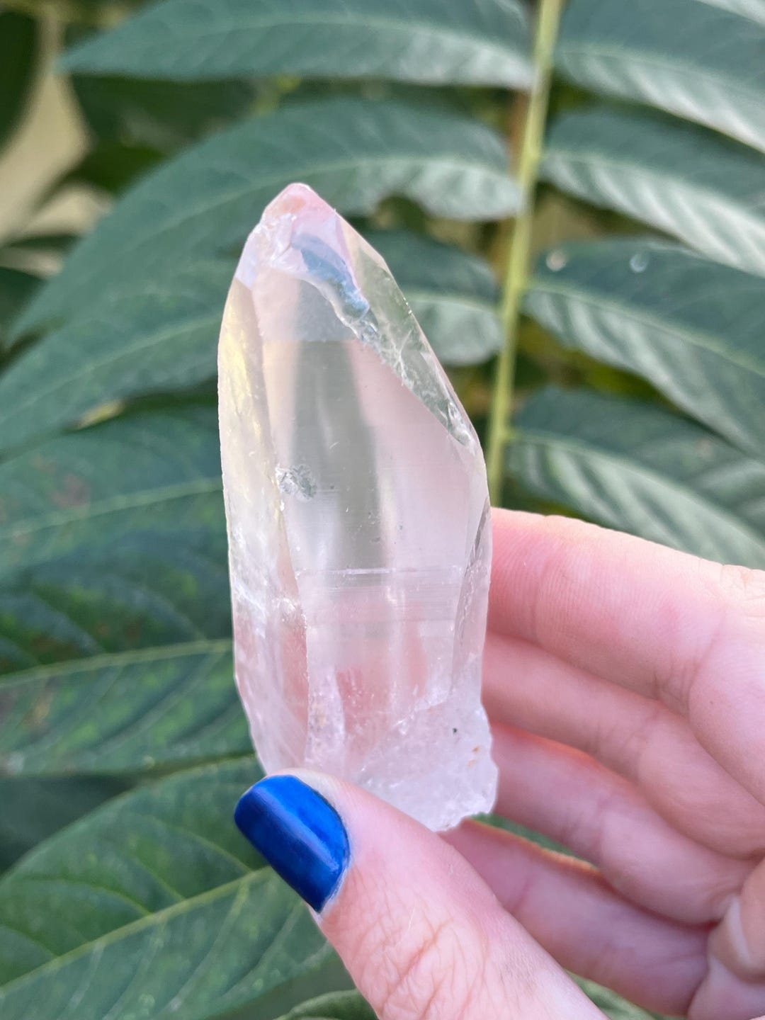 Raw Lemurian Crystal Point, Lemurian Seed Crystal, Lemurian Quartz ...