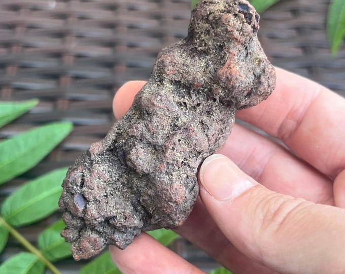 Fossilized Coprolite From Madagascar 95g | Real Dinosaur Poop ...