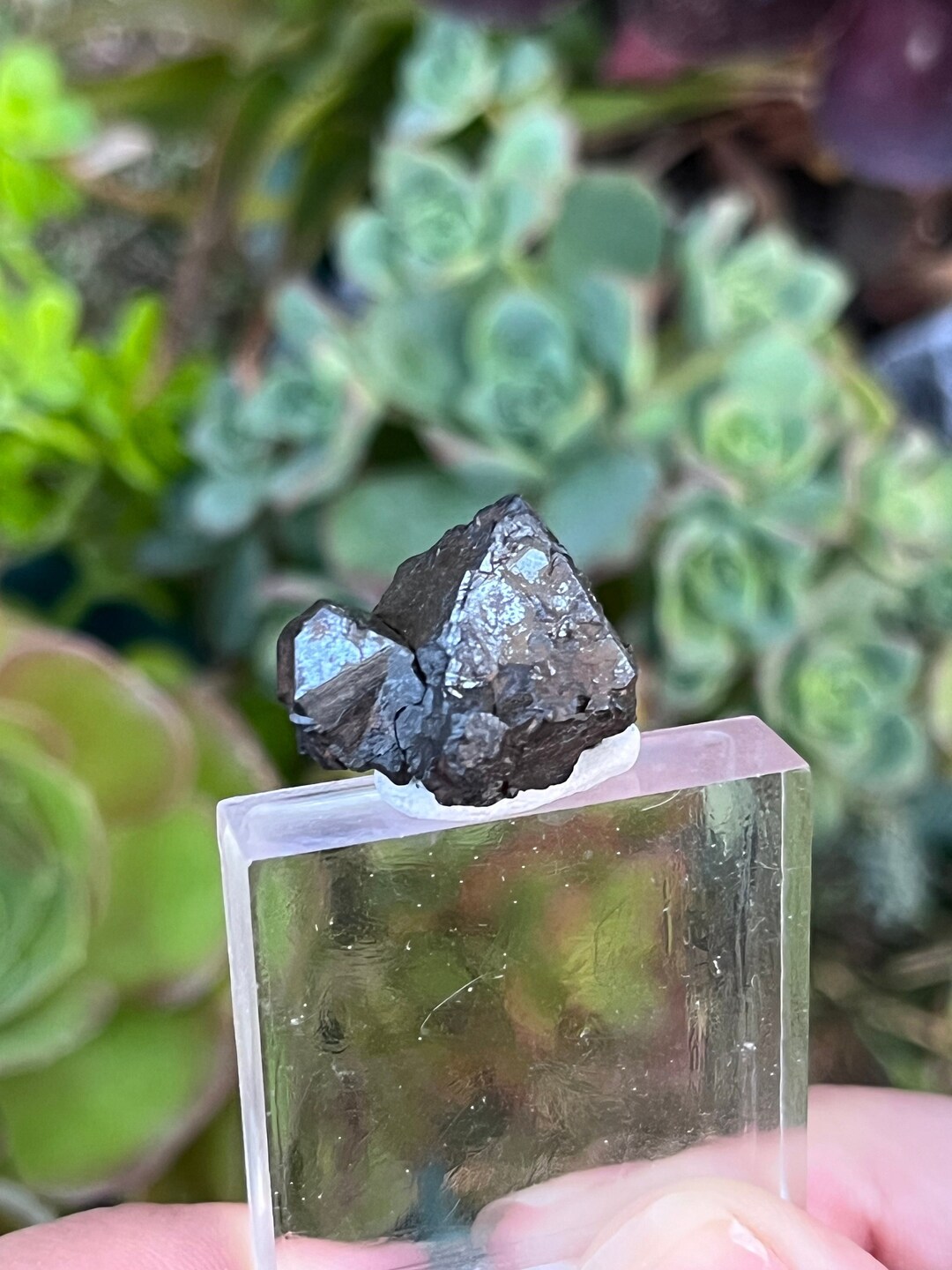 Natural Octahedral Magnetite Crystal From Iron Springs, Utah | Pyramid ...