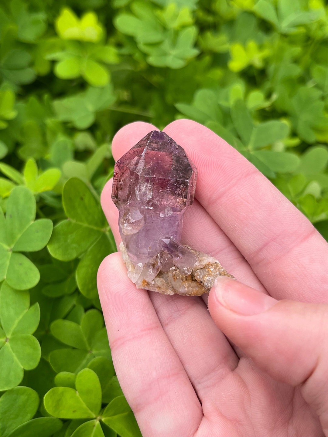 Lustrous Shangaan Amethyst Scepter on Matrix From Chibuku Mine in ...