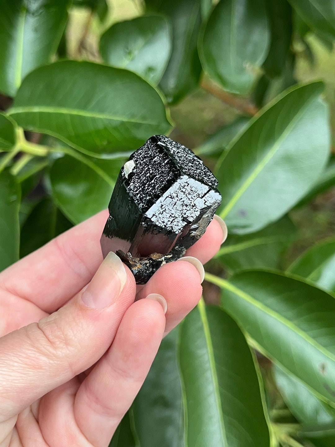 Raw Black Tourmaline Crystal, Namibia | Natural Schorl Tourmaline ...