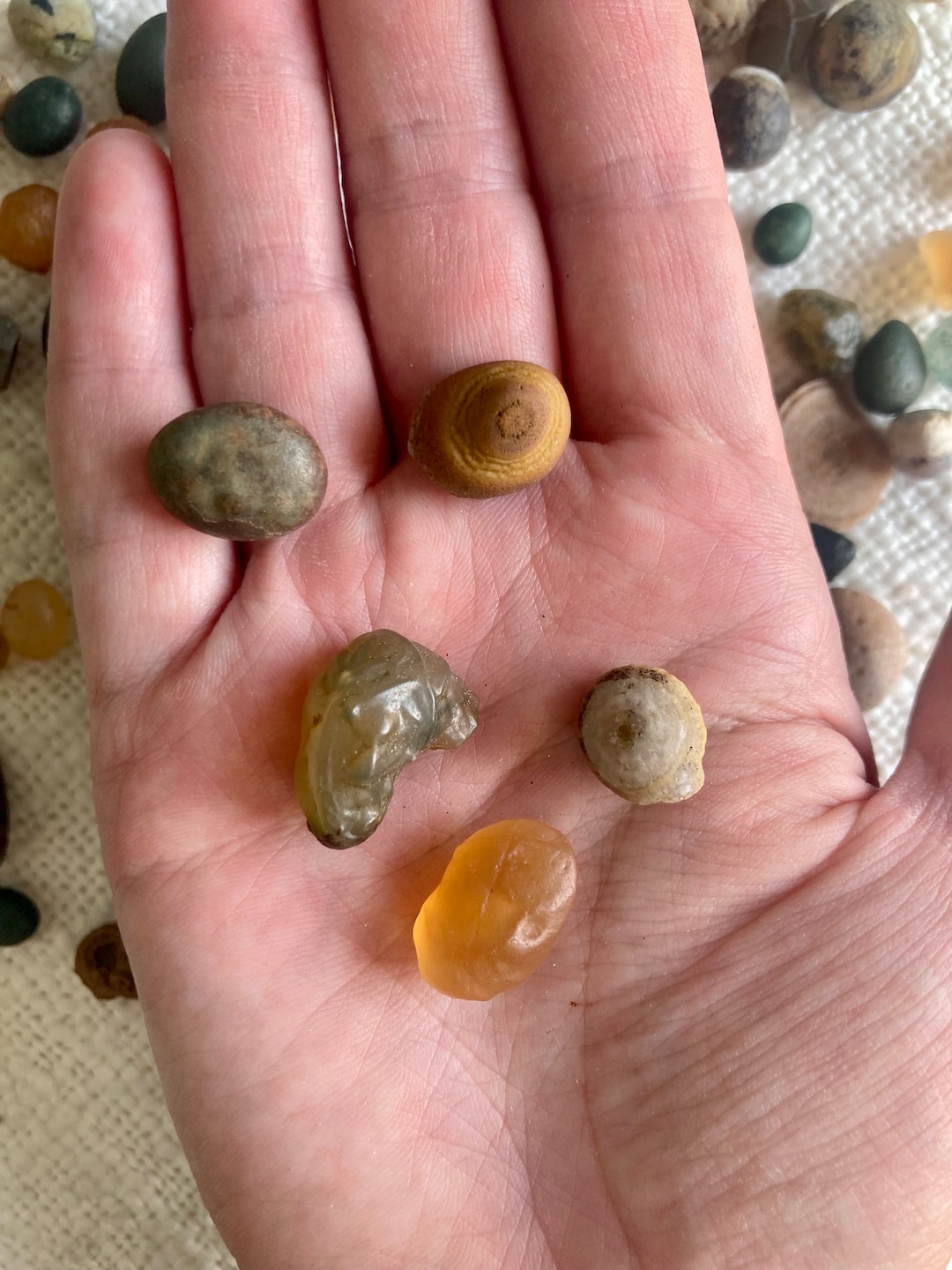 Raw Gobi Eye Agate 5 Stones Variety Pack | Natural Gobi Desert Mongolia ...