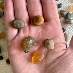 Raw Gobi Eye Agate 5 Stones Variety Pack | Natural Gobi Desert Mongolia ...