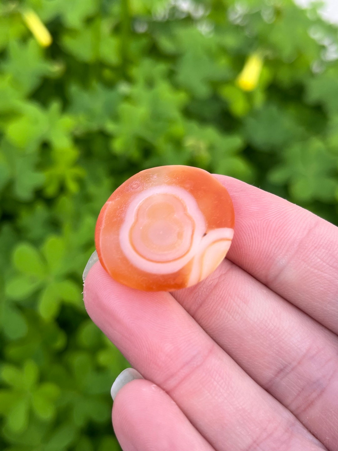 Orange and White Gobi Eye Agate Gobi Desert Mongolia Agate Rare ...