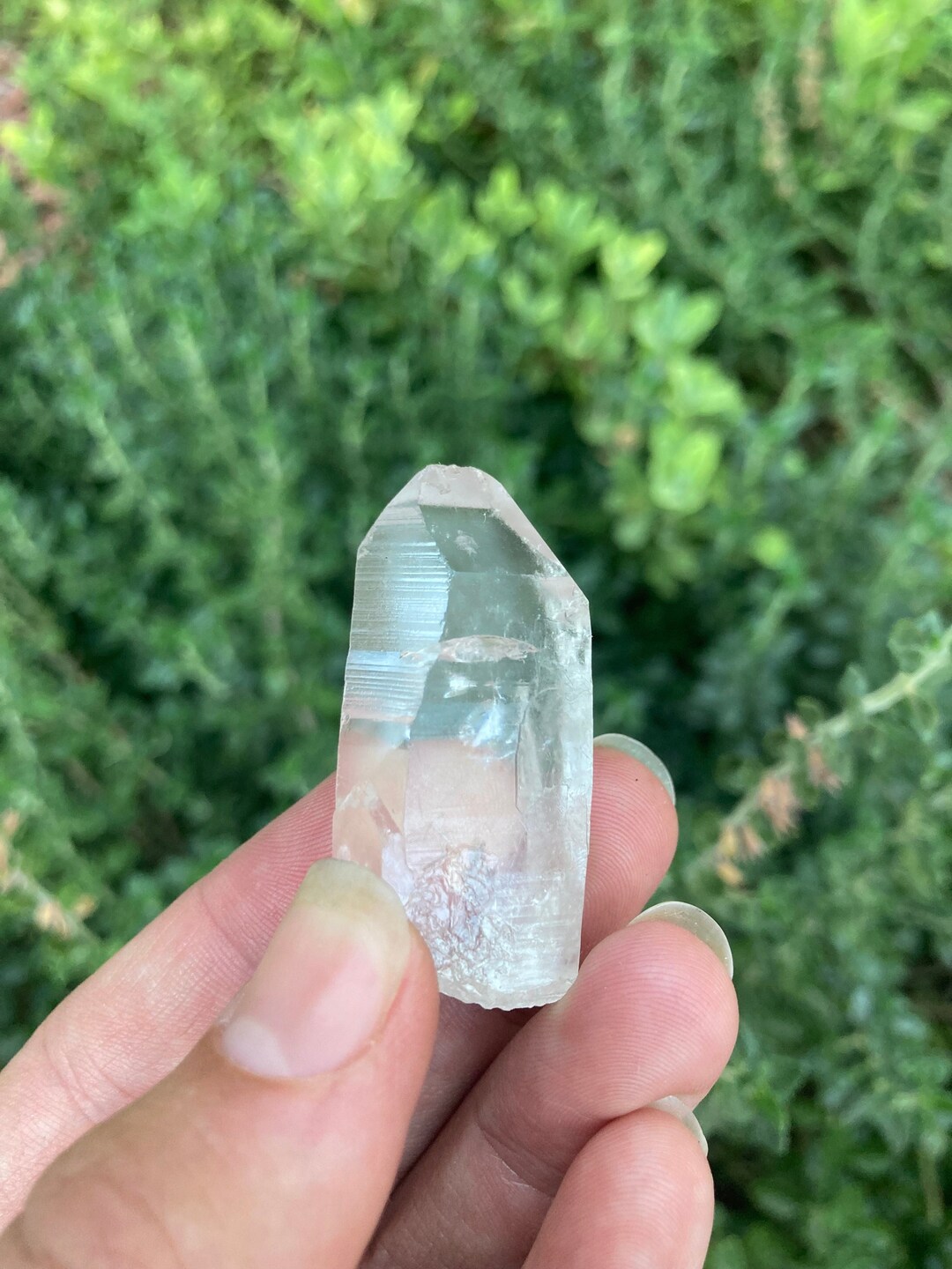 Lemurian Seed Crystal Authentic Lemurian Quartz From Brazil Akashic ...