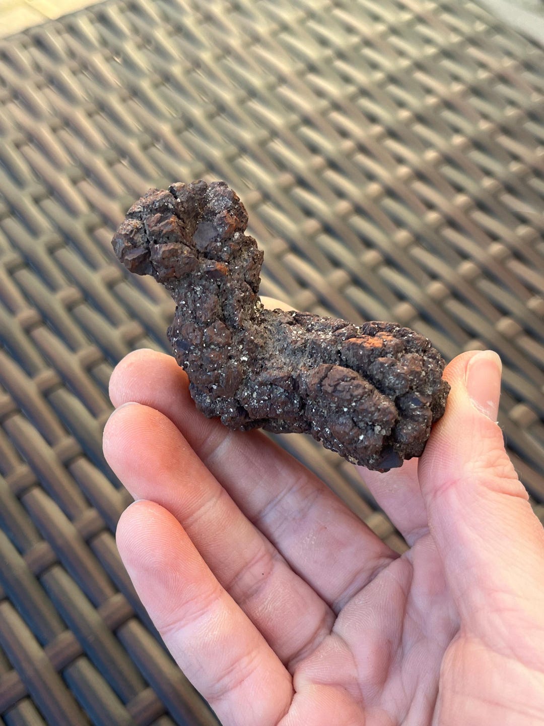 Fossilized Coprolite From Madagascar | Real Dinosaur Poop, Petrified ...