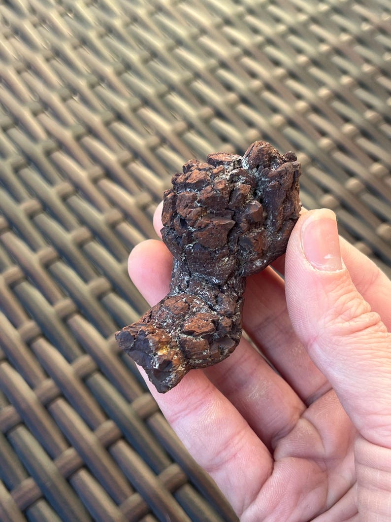Fossilized Coprolite From Madagascar | Real Dinosaur Poop, Petrified ...
