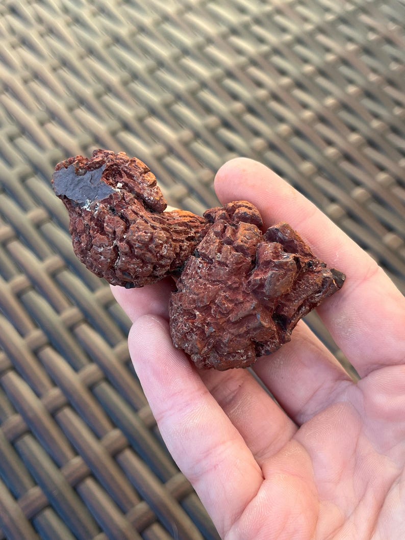 Fossilized Coprolite From Madagascar | Real Dinosaur Poop, Petrified ...