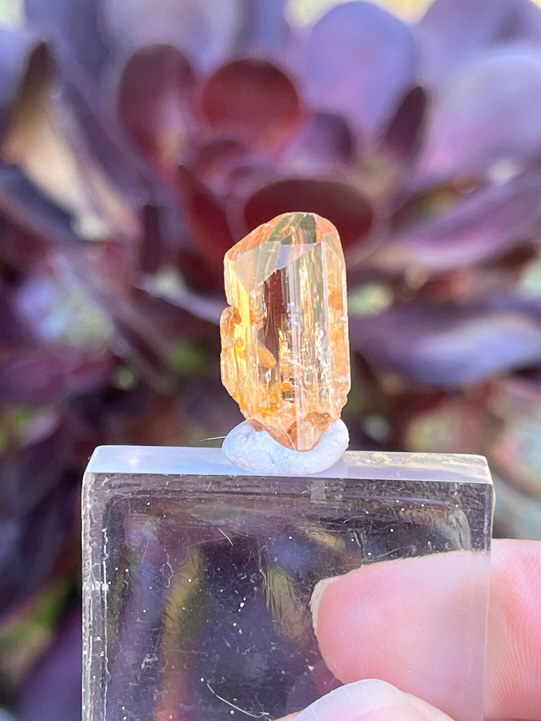Absolutely Stunning Golden Imperial Topaz Crystal Point 3g Rare Topaz ...
