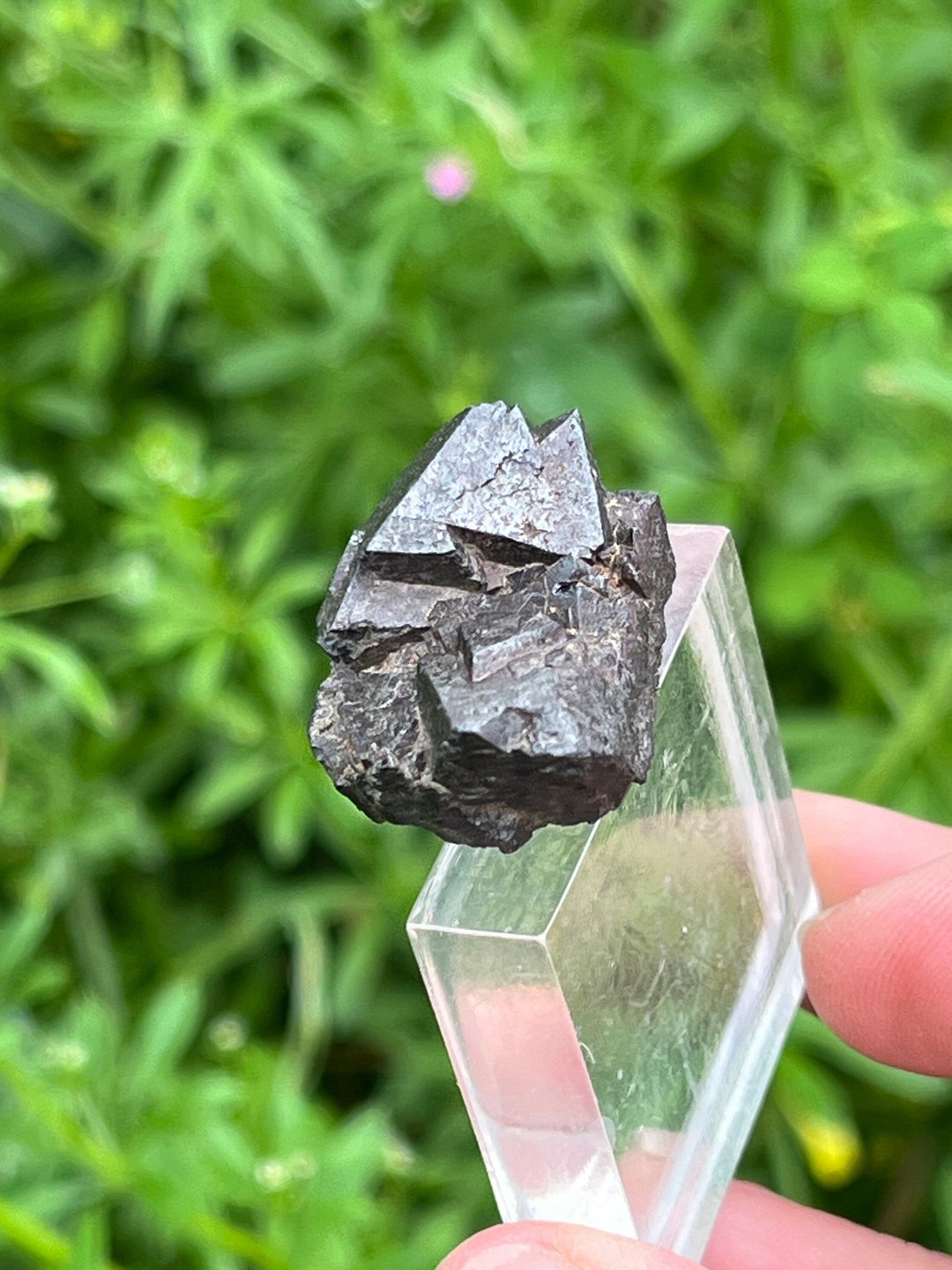 Natural Octahedral Magnetite Crystal From Iron Springs, Utah | Pyramid ...