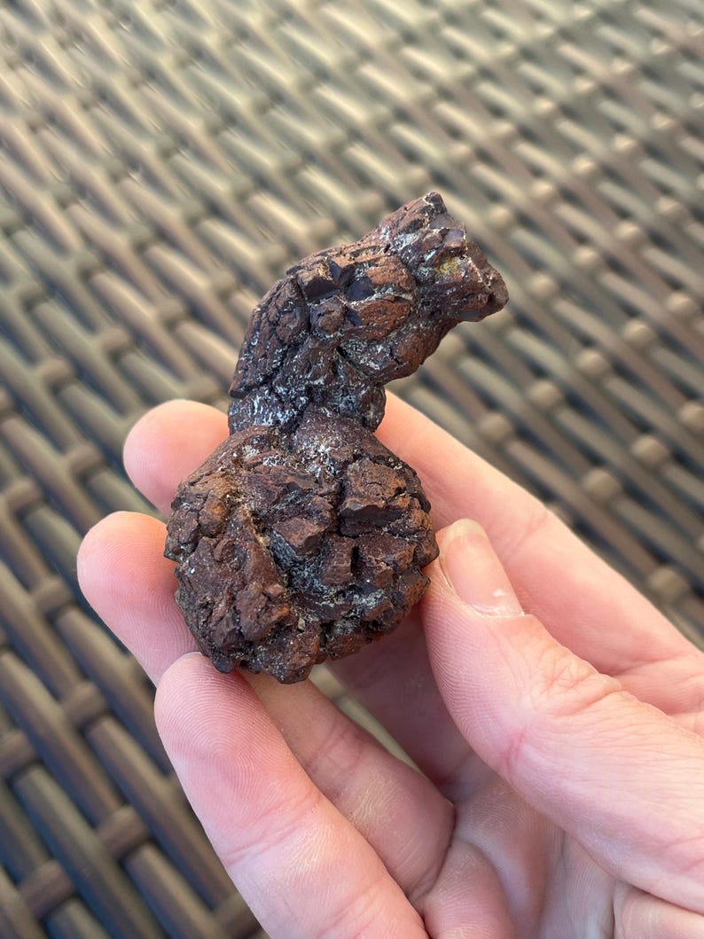 Fossilized Coprolite From Madagascar | Real Dinosaur Poop, Petrified ...