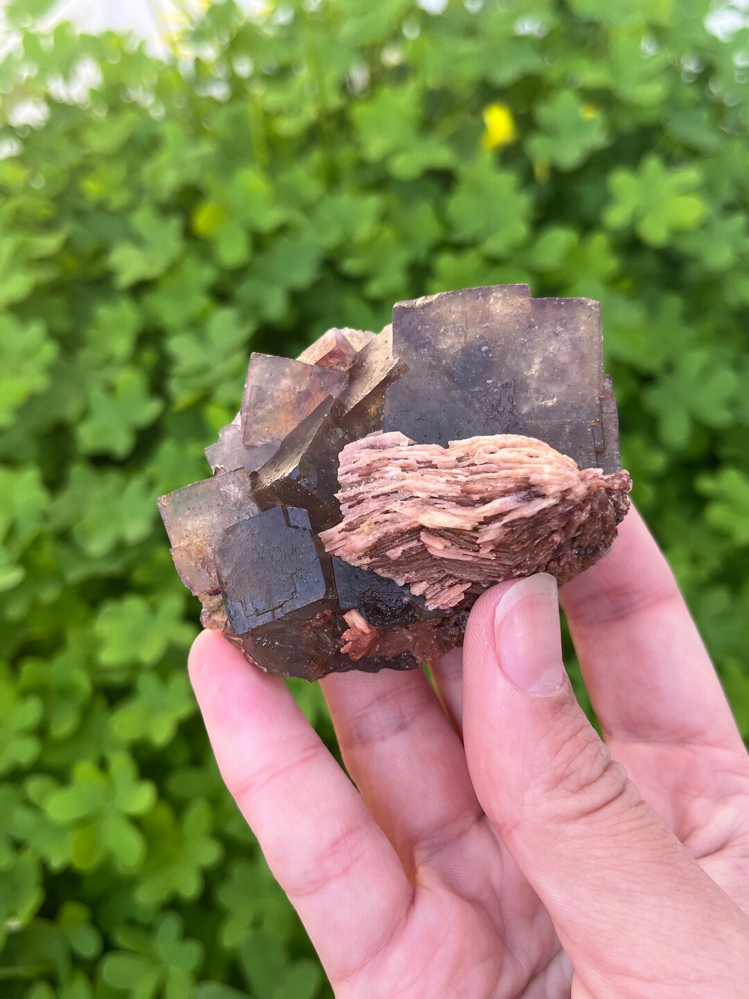 Vibrant Cubic Fluorite With Barite From El Hammam Mine, Morocco Raw ...