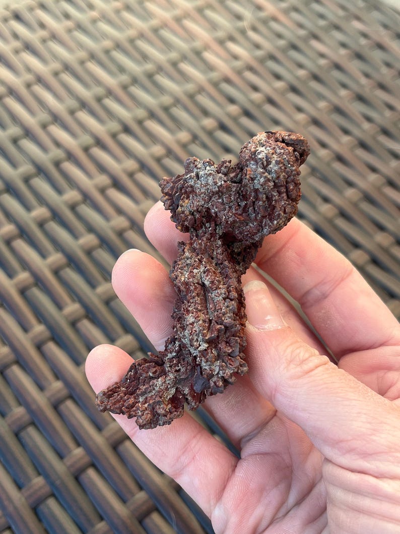 Fossilized Coprolite From Madagascar | Real Dinosaur Poop, Petrified ...