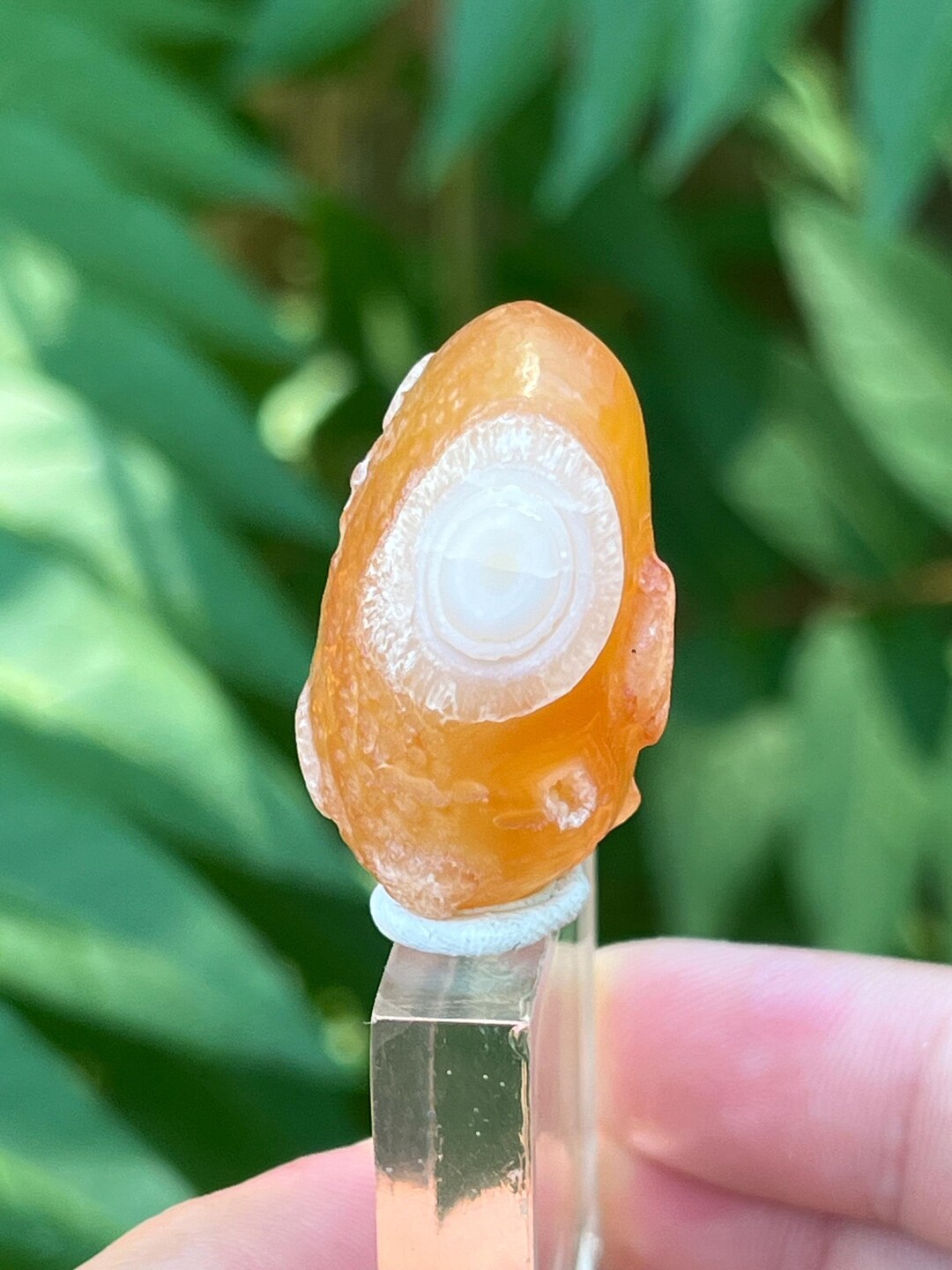 Gobi Eye Agate Crystal 20g Gobi Desert Mongolia Agate, Gobi Agate, Eye ...