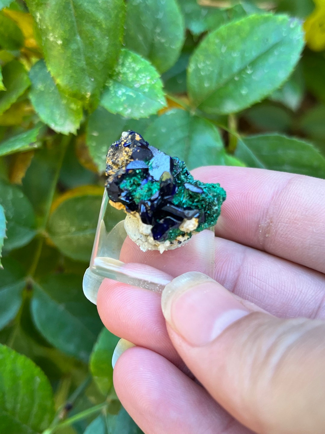 Raw Azurite Crystal Cluster With Malachite From Kerrouchen, Morocco ...