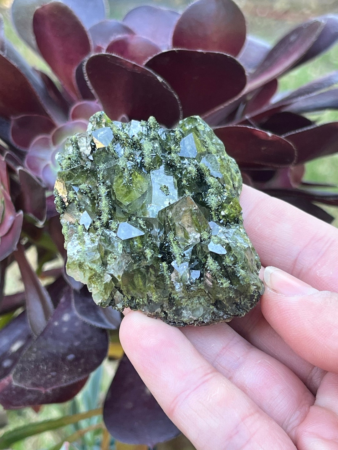Sparkly Fairy Forest Quartz New Find Raw Green Epidote and Water Clear ...