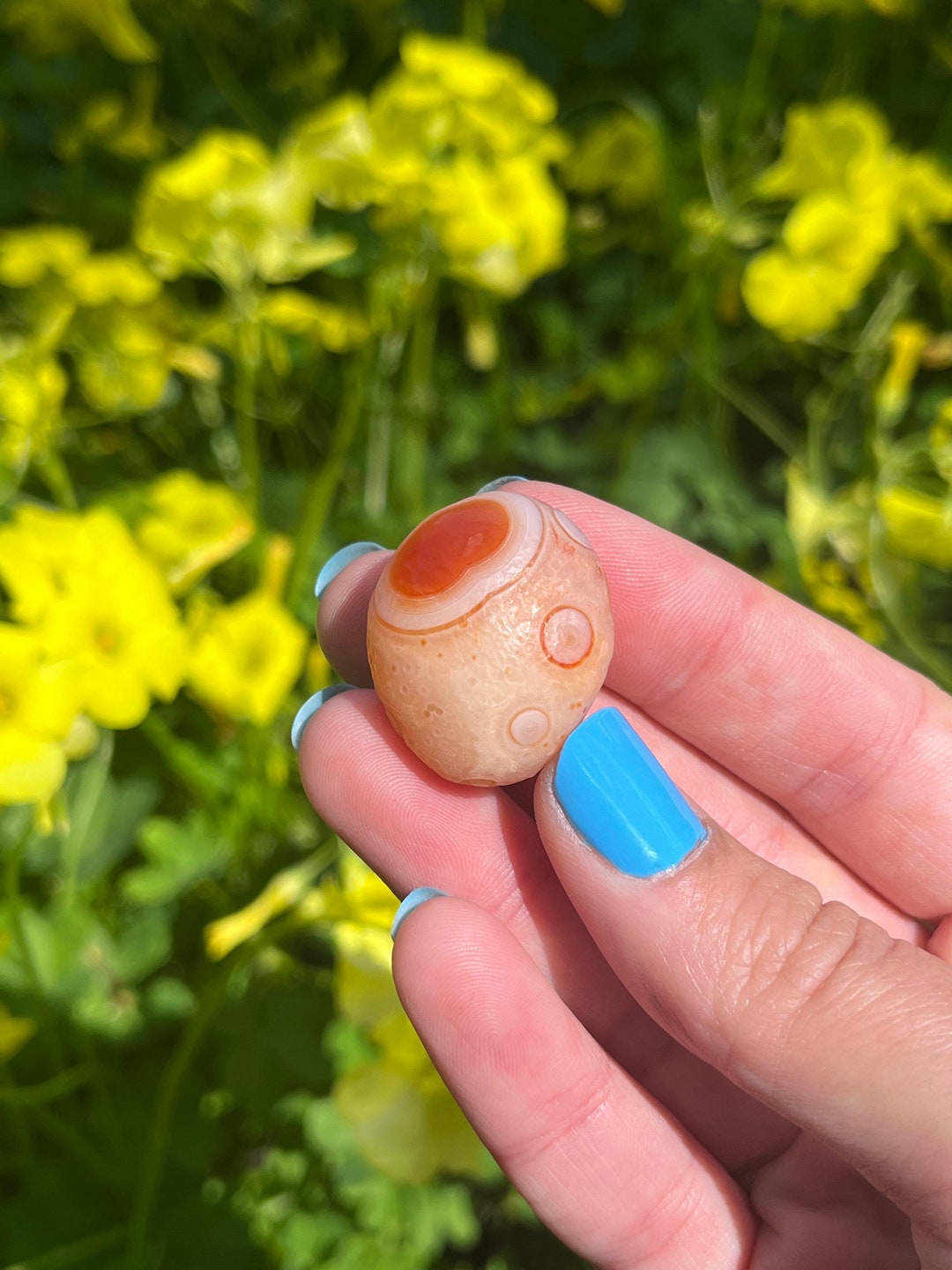 Orange and White Gobi Eye Agate Gobi Desert Mongolia Agate Rare ...