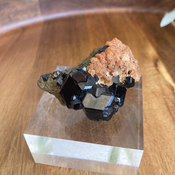 Mineral Display Cabinet - Etsy