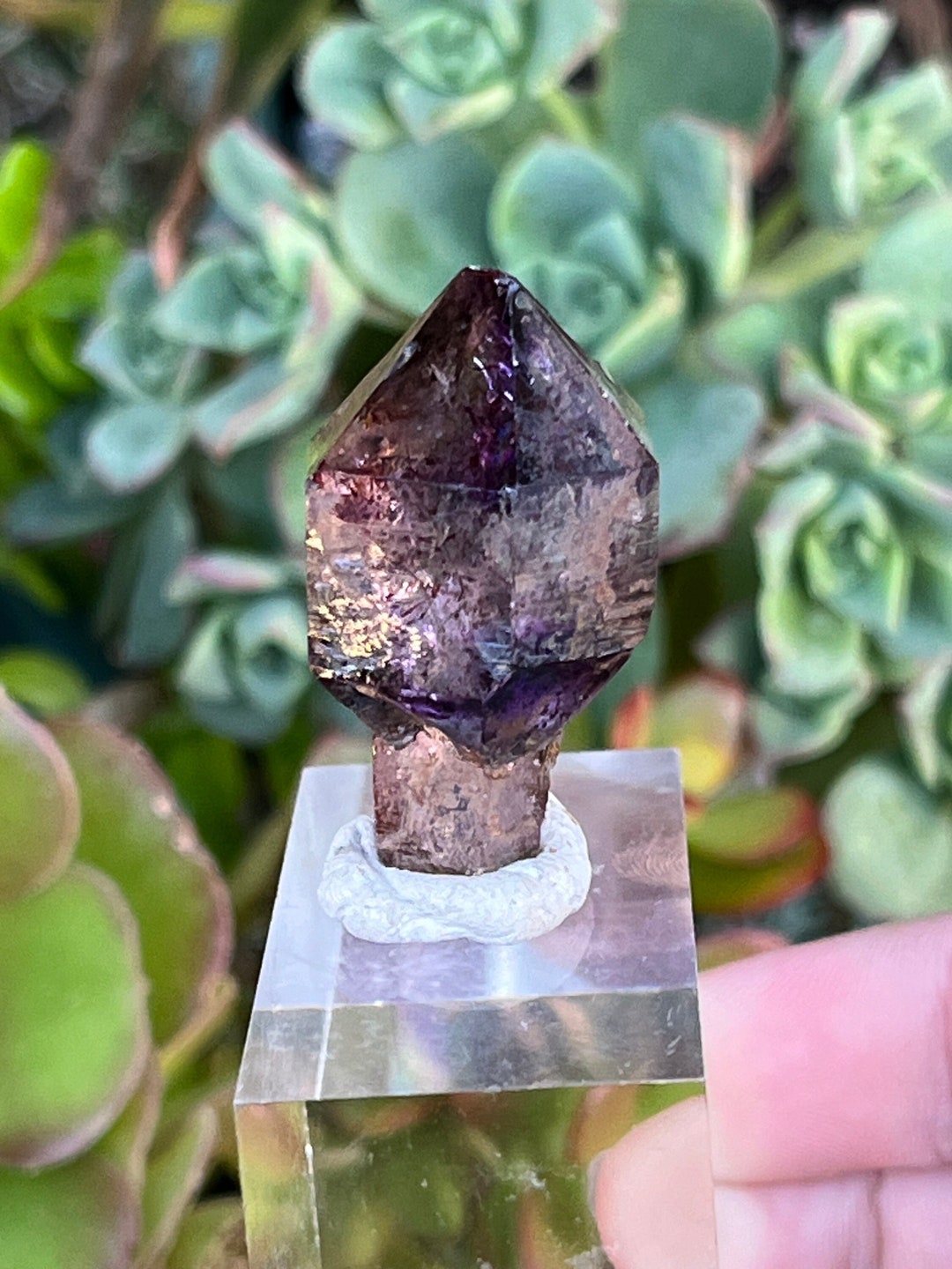 Shangaan Amethyst Crystal Scepter From Chibuku Mine in Zimbabwe Smoky ...