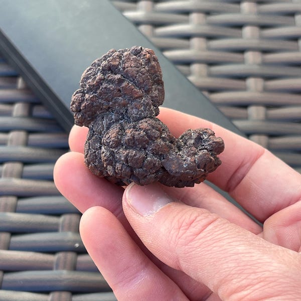 Real Poop - Etsy